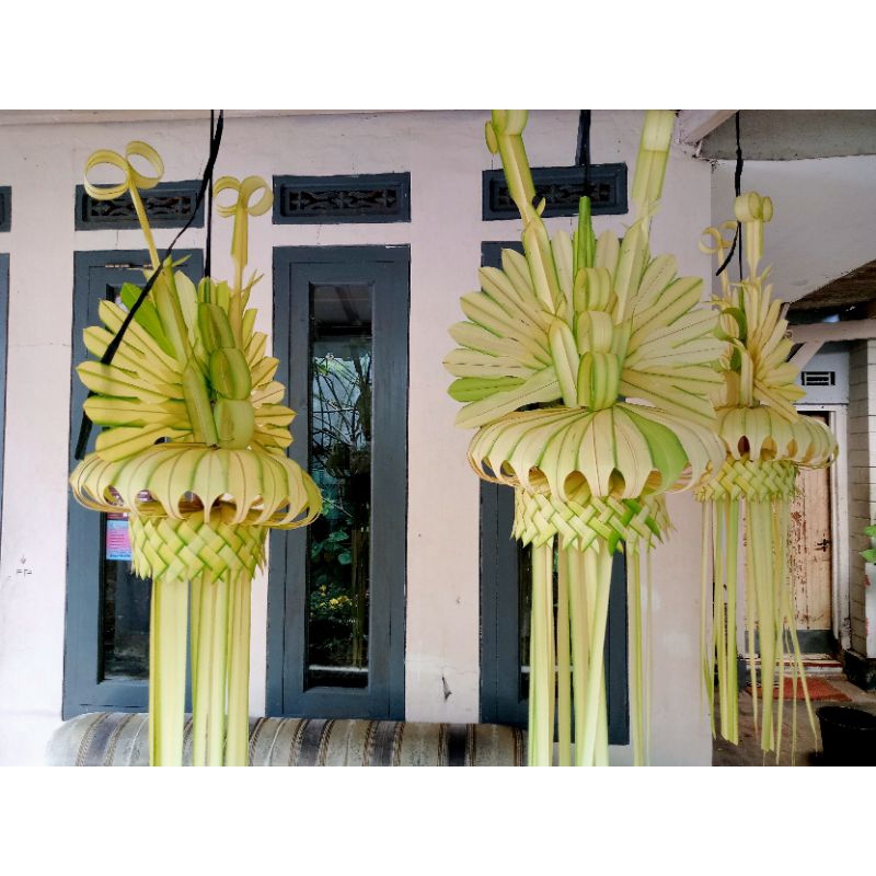 Jual janur kuning pernikahan/khitanan asli segar CIMAHI BDG PADALARANG ...