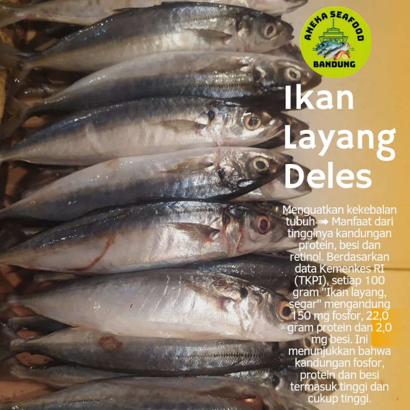 Jual Ikan Deles Segar / Ikan Layang Segar 500gr | Shopee Indonesia