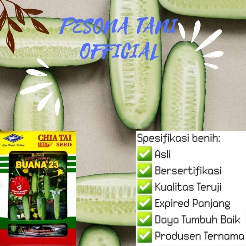 Jual Benih TIMUN BUANA 23 F1 Cap Kapal Terbang | Shopee Indonesia