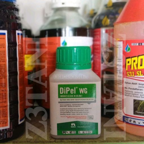 Jual Insektisida Biologi DIPEL WG 125GRAM NUFARM ORIGINAL | Shopee ...