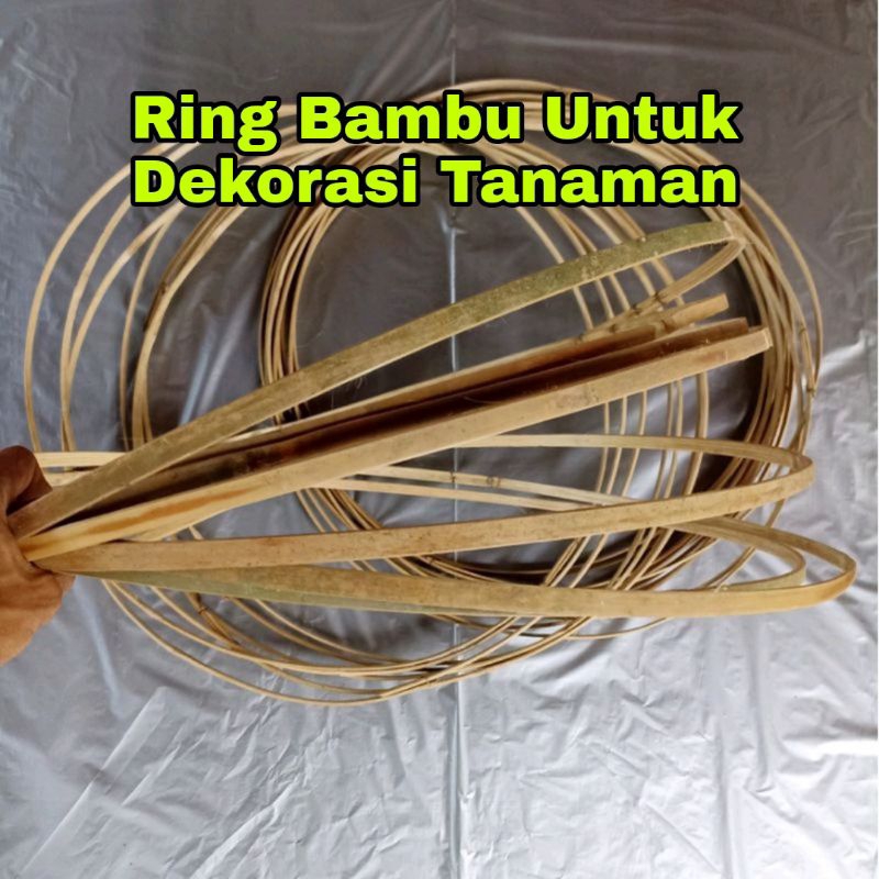 Jual Bambu Melingkar Serbaguna Ring Wengkuan Turus Ajir Tanaman ...