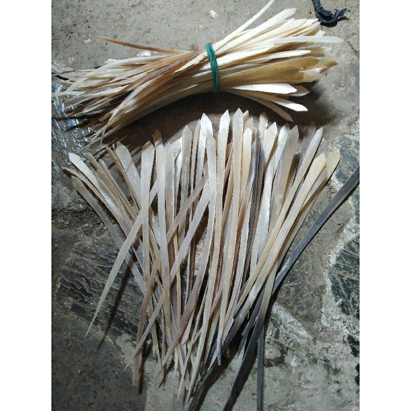 Jual Tali Simpai tanduk kerbau bule harga per 10 pcs Tali simpay tanduk ...