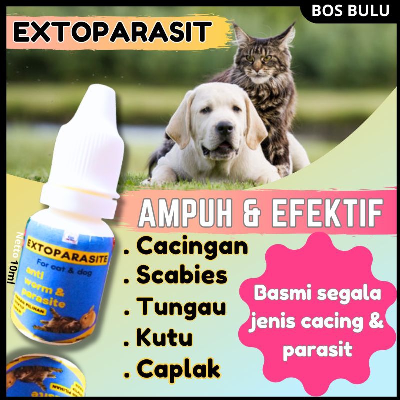 Jual extoparasit obat cacing kutu scabies tungau kucing 10ml | Shopee ...