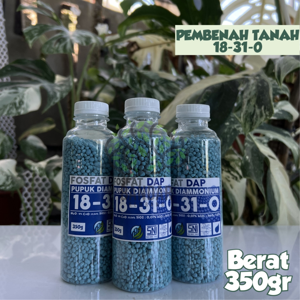 Jual Pupuk Penyubur Tanah Fosfat DAP 18-31-0 Pupuk Pembenah Tanah ...