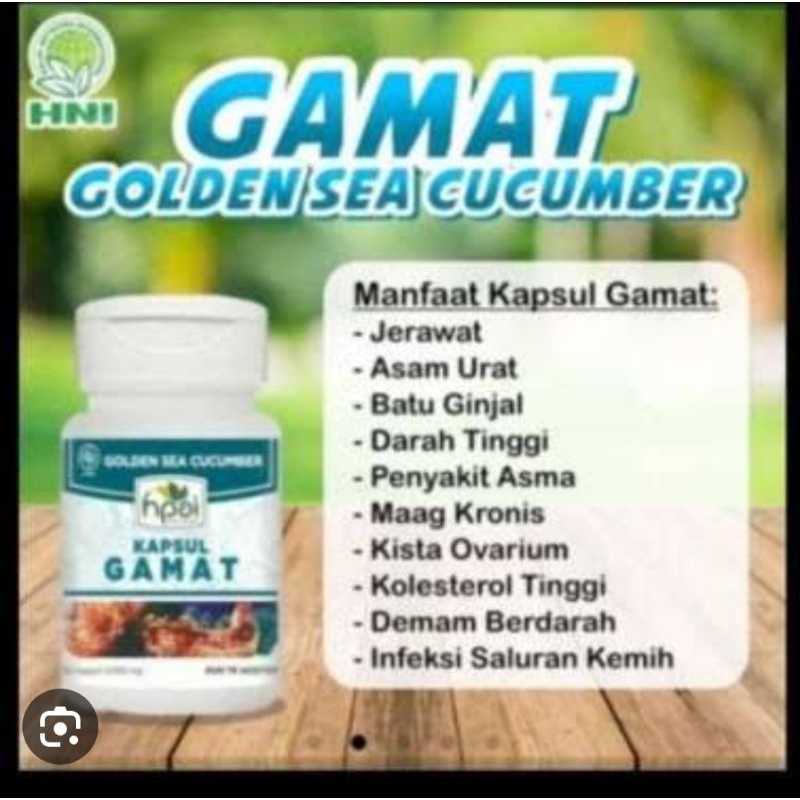 Jual GAMAT KAPSUL | Estrak Gamat (Teripang) Emas | Halal HN! HPA ...