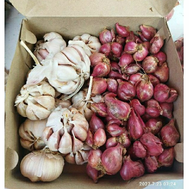 Jual PAKET BAMER BAPUT SINCO 1KG MURAH | Shopee Indonesia