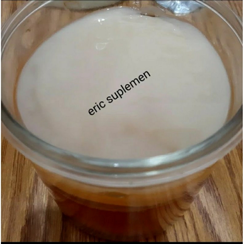 Jual jun tea scoby premium/asli jun tea scoby with starter 200ml ...