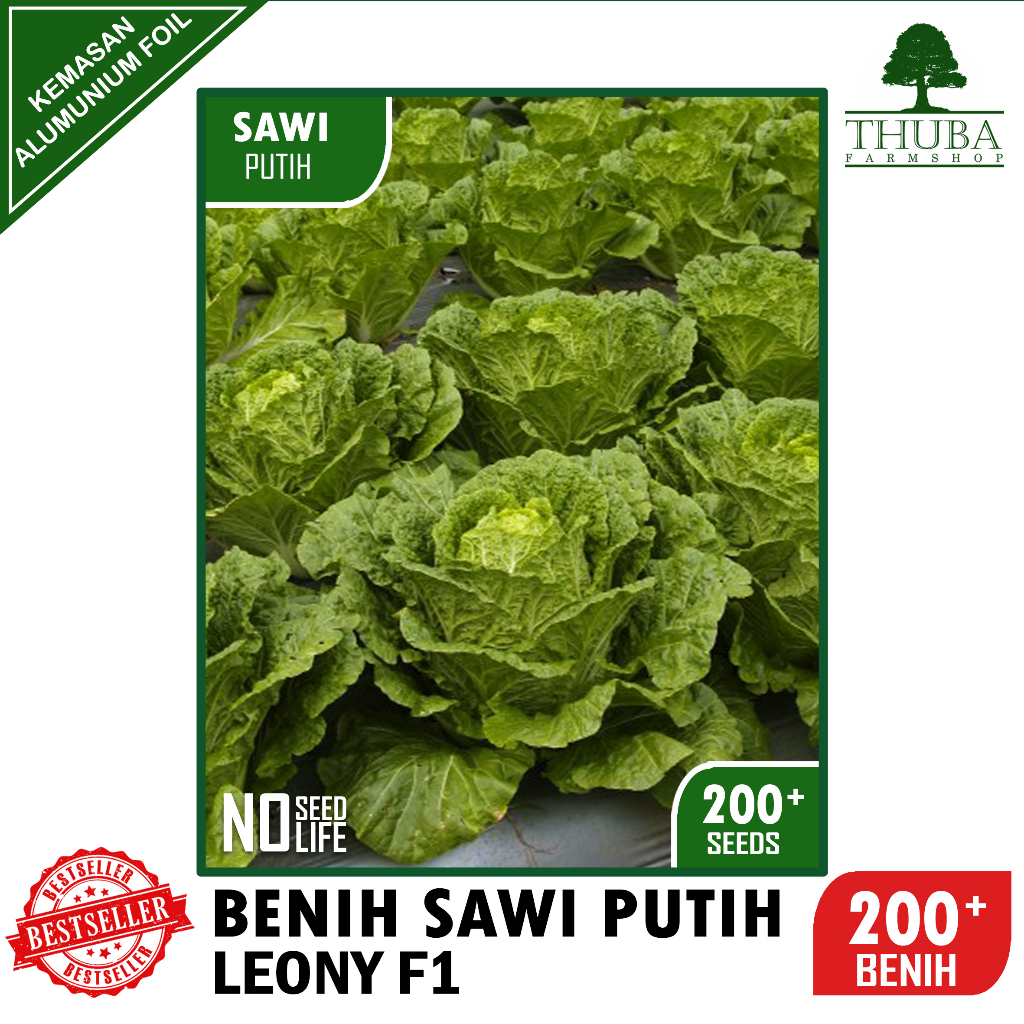 Jual 200 Biji - Benih Sawi Putih Hibrida Leony F1 - Bibit Sawi Putih ...