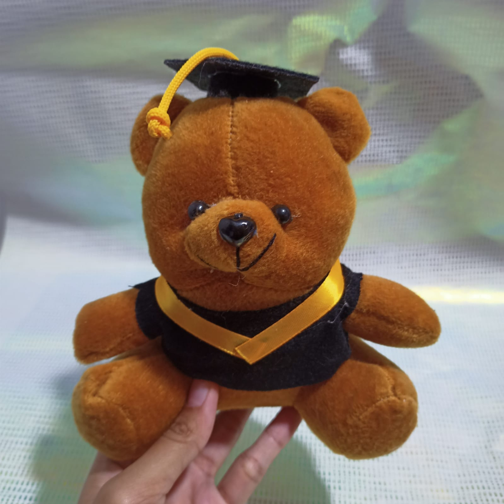 Jual BONEKA WISUDA BEAR LUCU BONEKA GRADUATION BERUANG | Shopee Indonesia