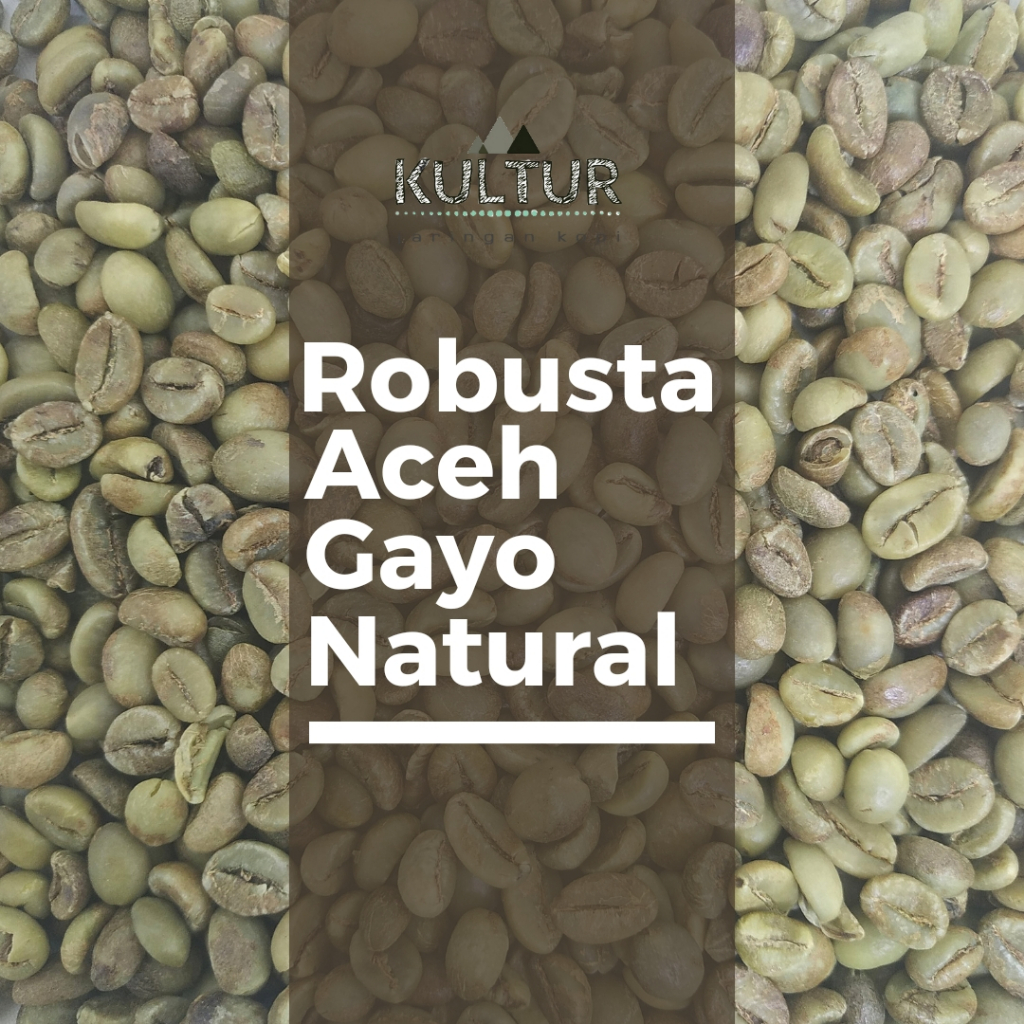 Jual GREEN BEAN ROBUSTA ACEH GAYO NATURAL BIJI KOPI MENTAH NETTO 500 GR ...
