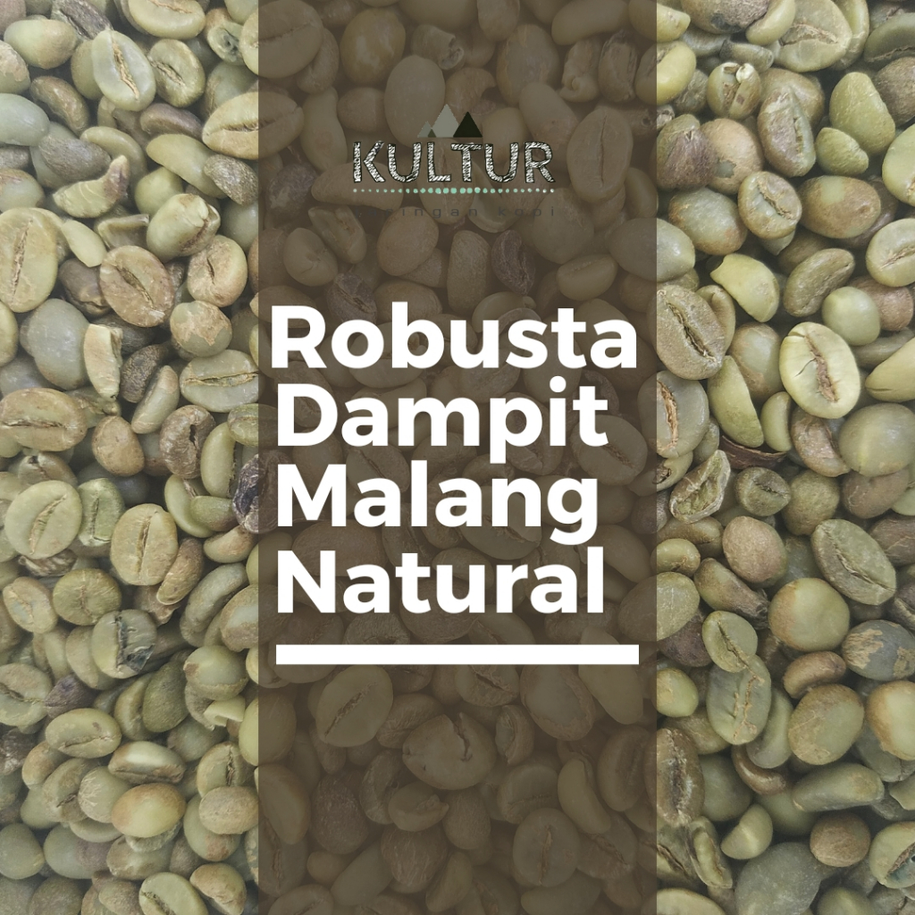 Jual GREEN BEAN ROBUSTA DAMPIT MALANG NATURAL BIJI KOPI MENTAH NETTO ...