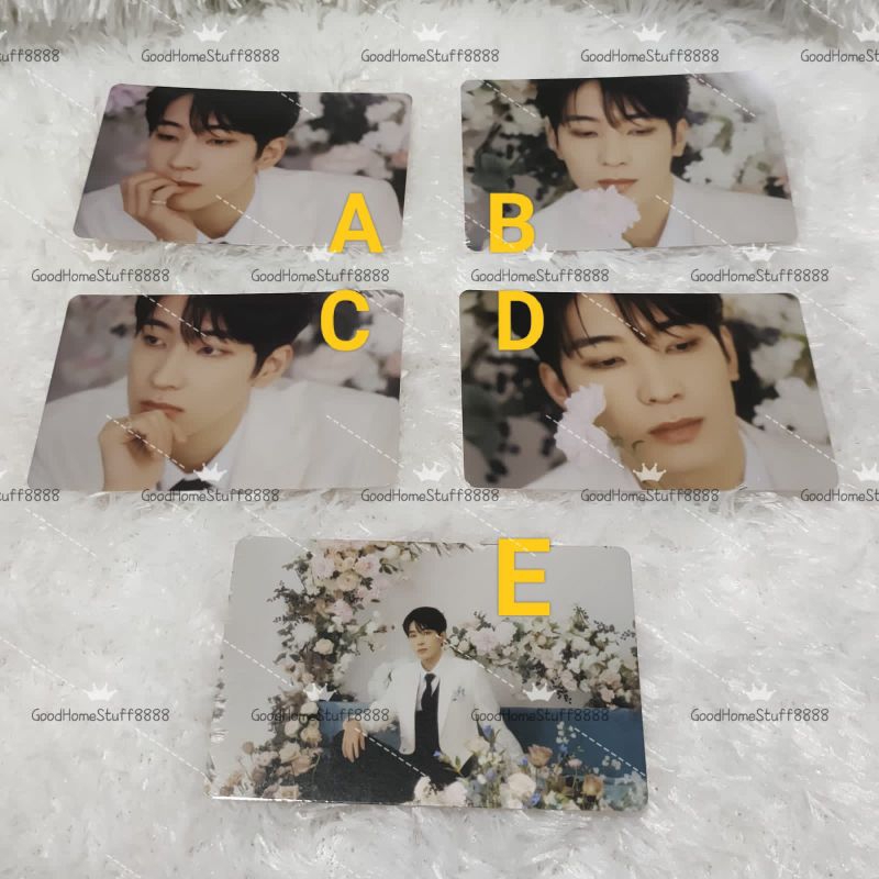 Jual Seventeen SVT Wonwoo Wonu FML Carat Version Photocard PC Selfie | Shopee Indonesia