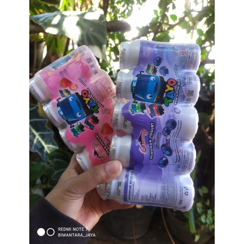 Jual cimory yogurt drink mini tayo | Shopee Indonesia