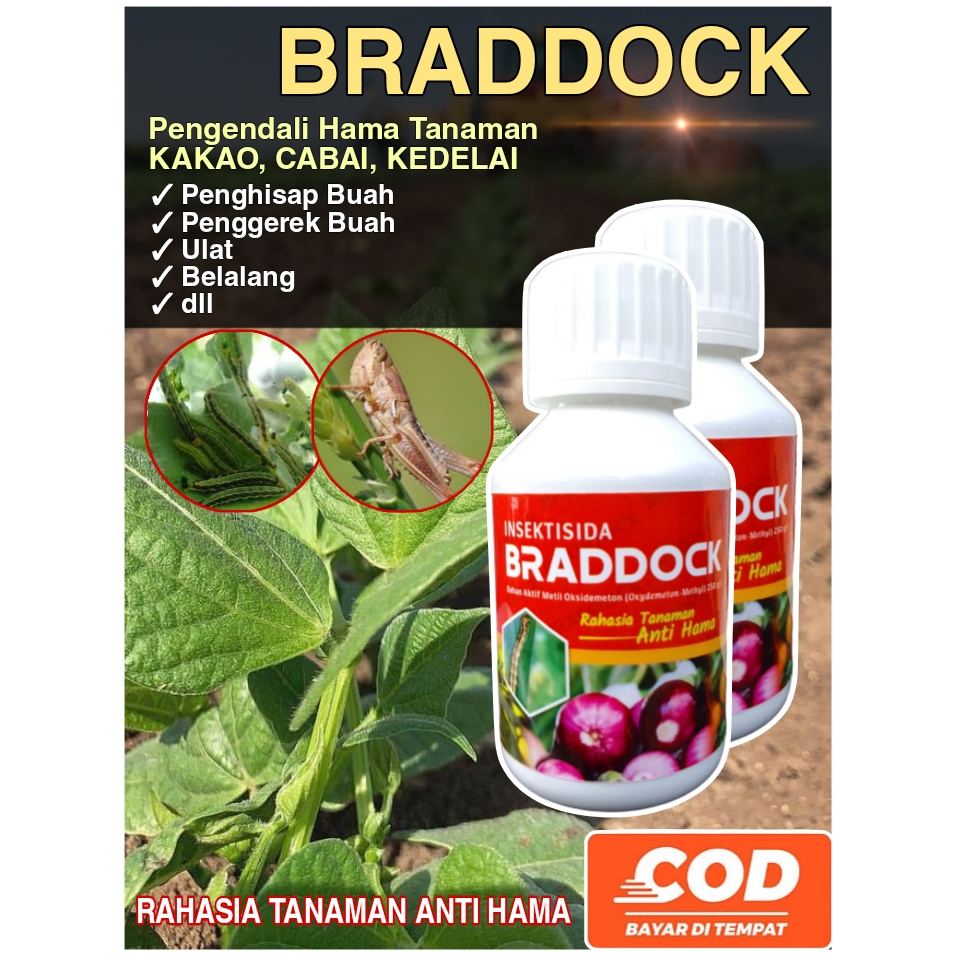 Jual Insektisida Braddock Bawang Merah Pembasmi Ulat Grayak Sundep ...