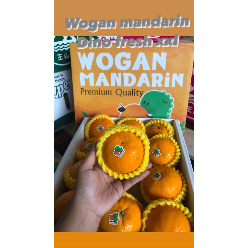 Jual Jeruk Dino Fresh xxl / Kg | Shopee Indonesia