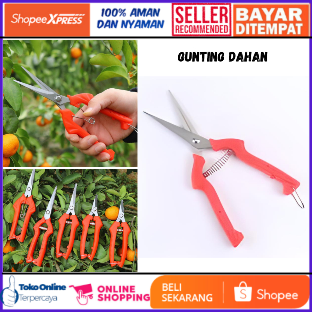 Jual Gunting Dahan Tanaman / Pruning Scissors / Gunting Ranting Bunga ...