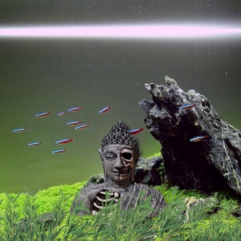 Jual hiasan aquarium budha dekorasi aksesoris diorama miniatur bonsai ...