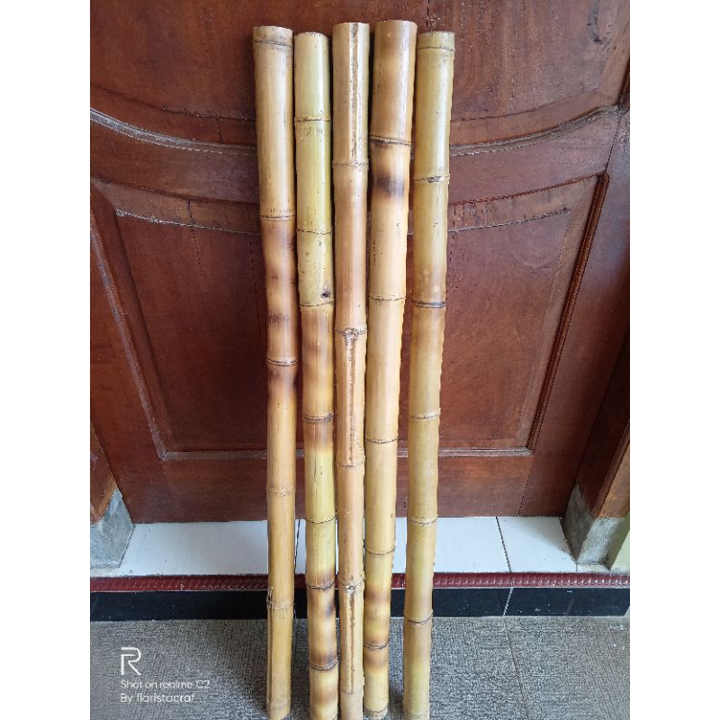 Jual BAMBU CENDANI OPEN LURUS T1 MTR D3-4 CM | Shopee Indonesia