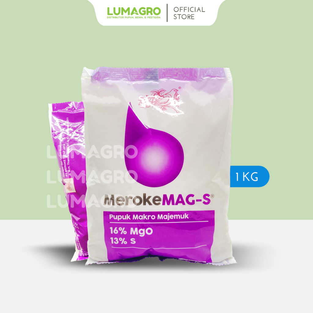 Jual Pupuk Meroke MagS 1kg Magnesium Sulfat Nutrisi Meningkatkan ...