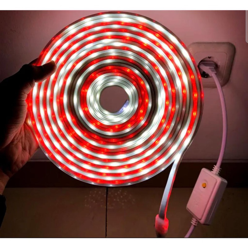 Jual LAMPU LED STRIP SELANG WARNA WARNI / MERAH PUTIH + ADAPTOR 5050 ...