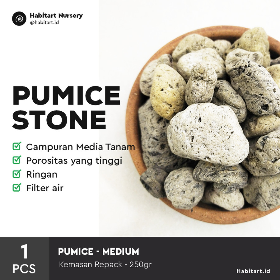 Jual Habitart Nursery - Pumice stone substrate media tanam filter ...