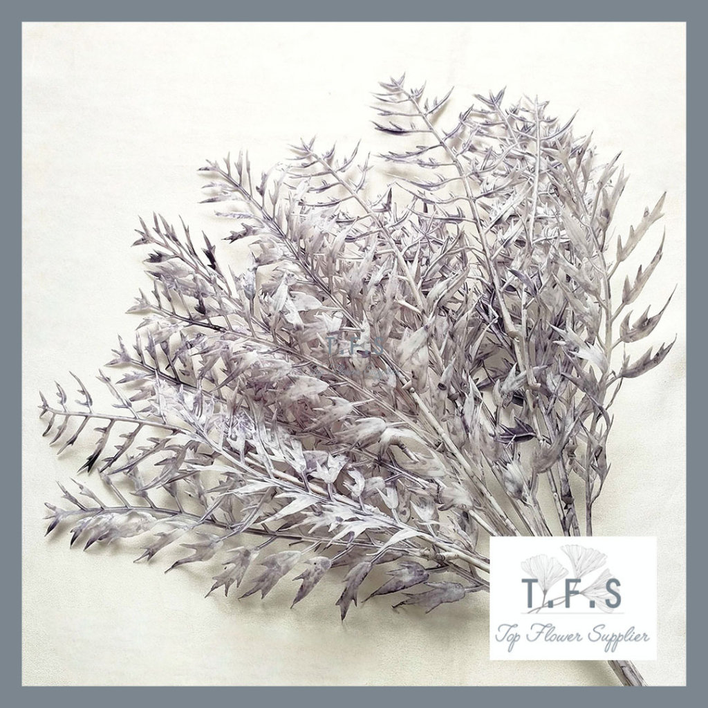 Jual Artificial Misty Grass Daun Pakis Artificial Rumput Paslu Hiasan ...