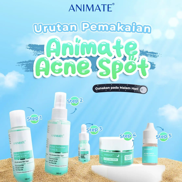 Jual ANIMATE Acne Solution Series | Serum Day / Night Cream / Paket ...