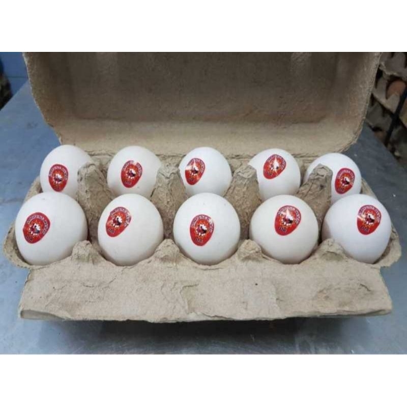 Jual Telur Ayam Kampung Merah (10 Butir) | Shopee Indonesia