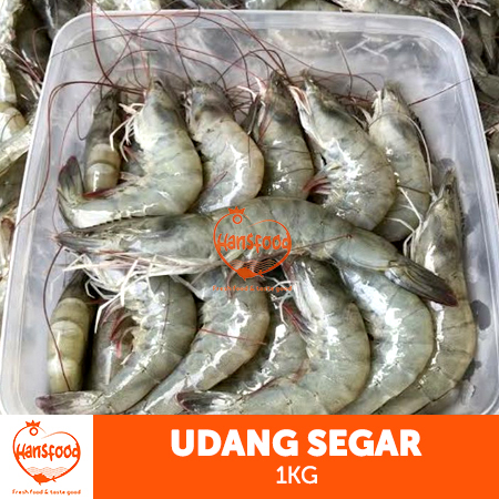 Jual Udang Fresh/Segar 500gr | Shopee Indonesia