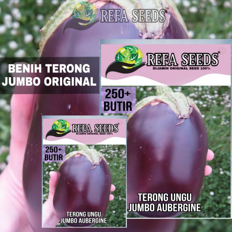 Jual REFA (250 Butir) Benih Terong Ungu Jumbo AUBERGINE Original Kemasan / Benih Terong Grosir ...