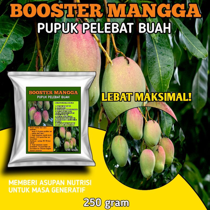 Jual Pupuk booster mangga pupuk pelebat buah mangga anti rontok nutrisi untuk bunga dan buah ...