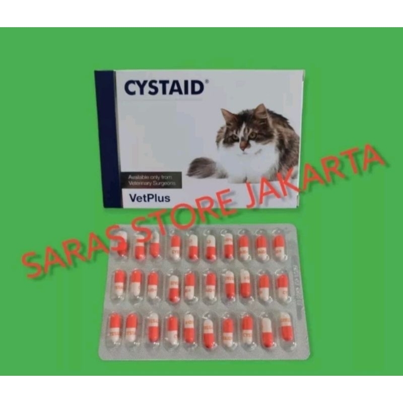 Jual Cystaid Kapsul Obat Gangguan Saluran Kencing Kucing - Per Strip ...