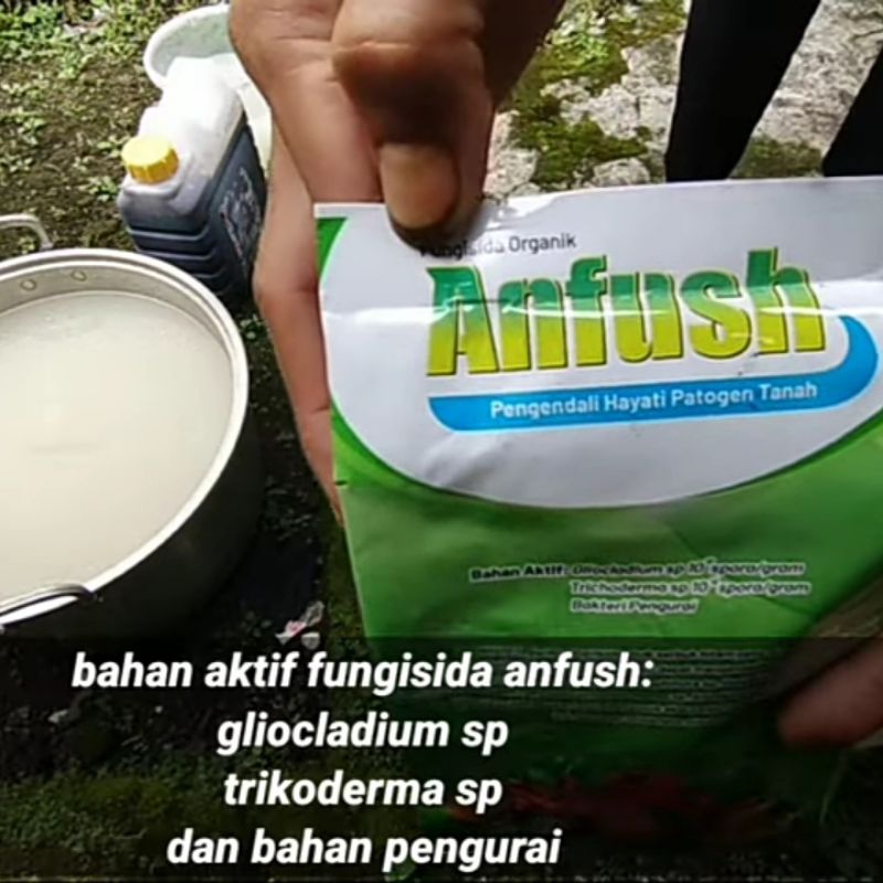Jual Fungisida ANFUSH 500 gram Jamur Trichoderma dan Gliogladium ...