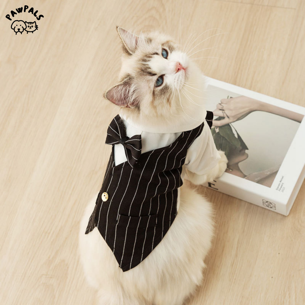 Jual Arthur - Baju Anjing Kucing Vest Undangan Tuxedo Hitam Premium Wedding | Shopee Indonesia