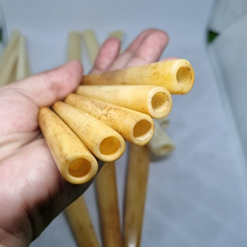 Jual Pipa Tulang Sapi kuning putih /Once tulang sapi | Shopee Indonesia