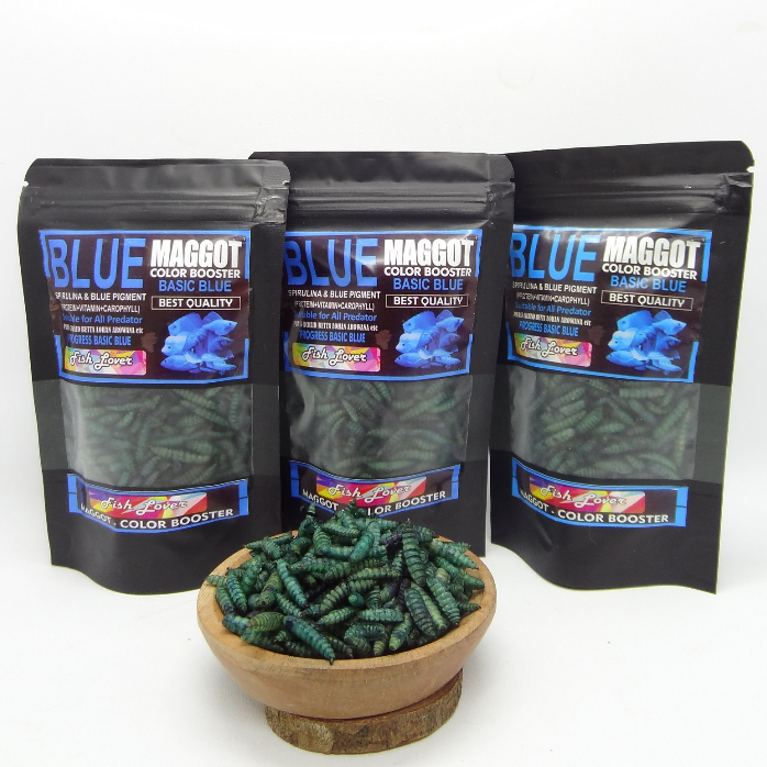 Jual Blue Maggot Fishlover | Shopee Indonesia