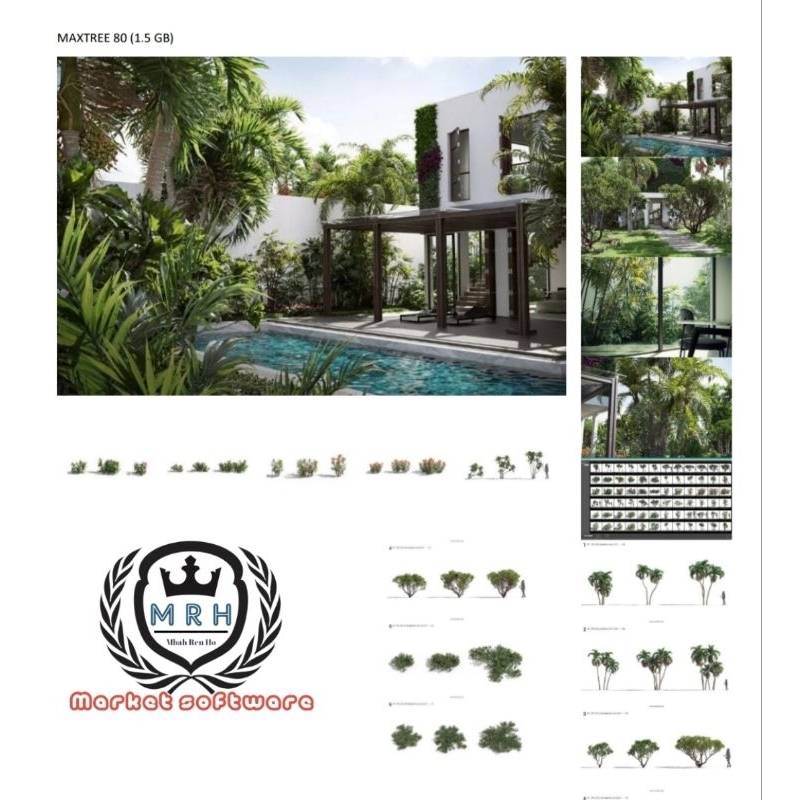 Jual MAXTREE - PLANT MODELS VOLUME 80 | Shopee Indonesia