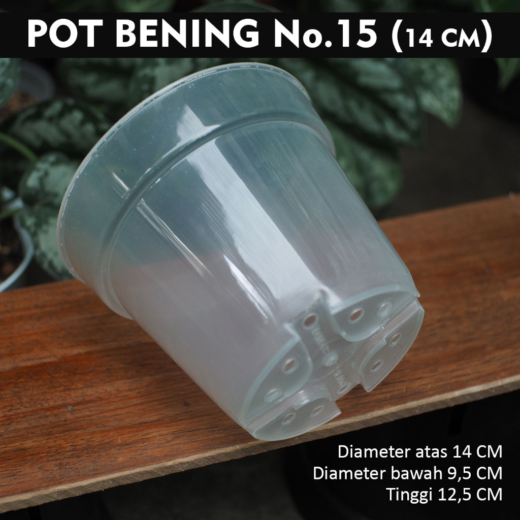 Jual Pot Bening Plastik No.15 (14 cm) - Pot Bening Poros - Pot Bening ...