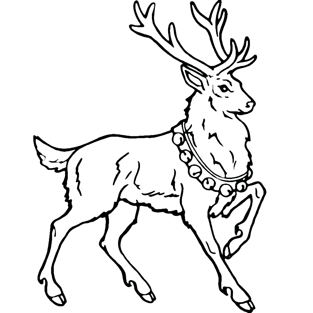 Jual Gambar Sketsa Mewarnai / Hewan / Part 2 / Gambar Sketsa / Gambar mewarnai / Kertas Gambar ...