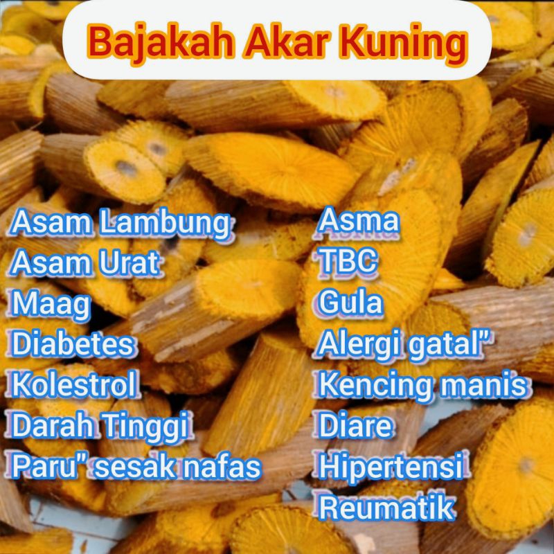 Jual Bajakah Akar Kuning 1 kg | Shopee Indonesia