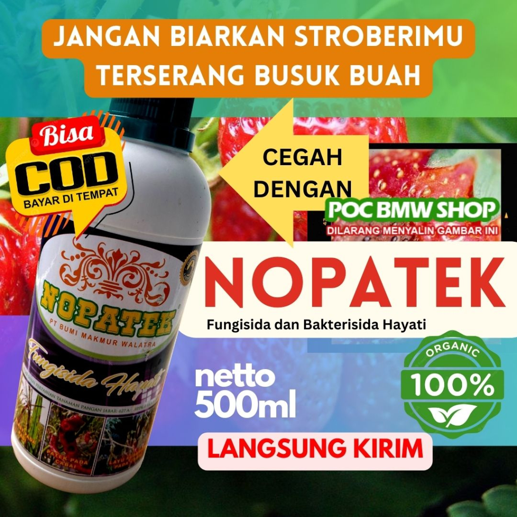 Jual FUNGISIDA NOPATEK OBAT STROBERI BUSUK BUAH, CABE, Bawang Daun ...