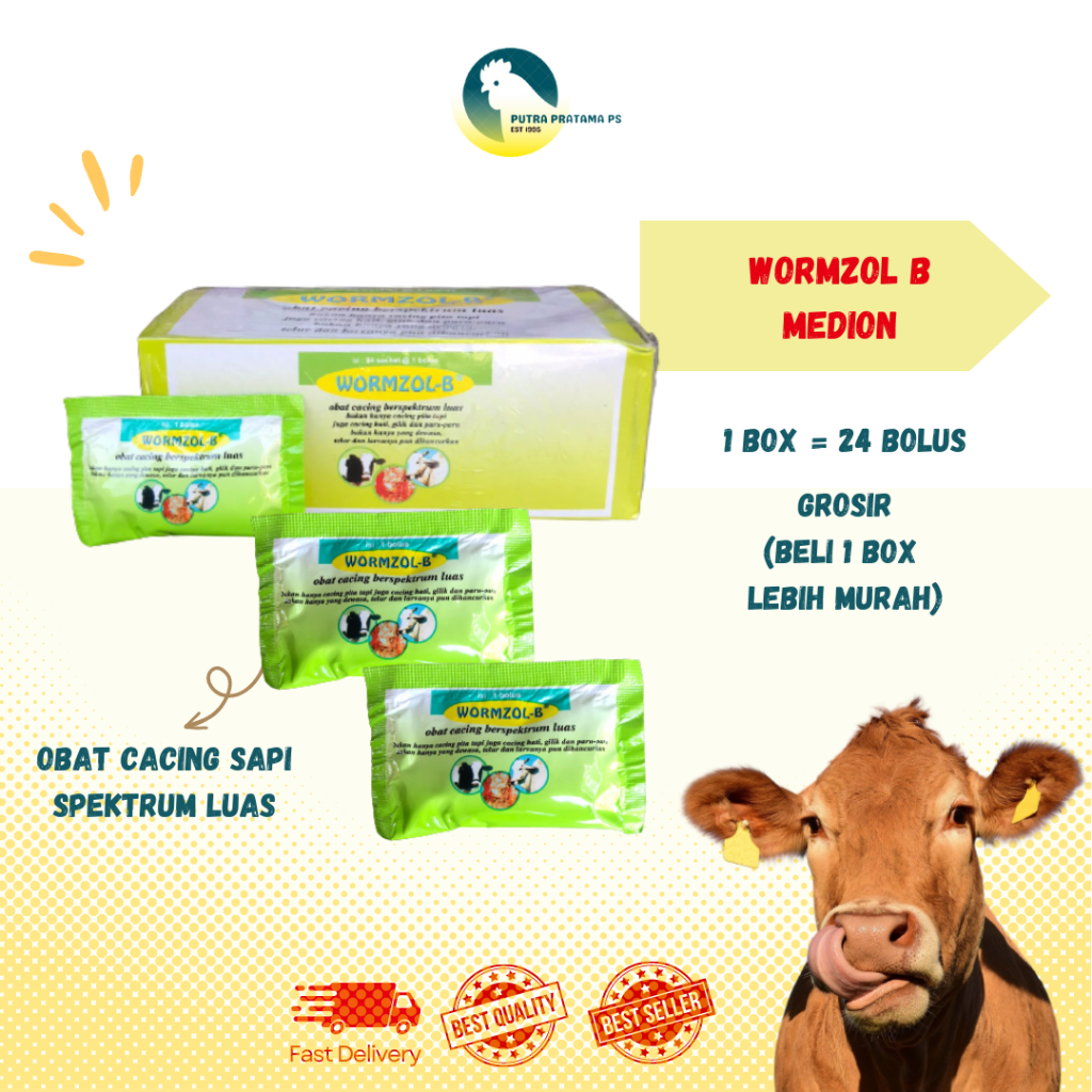 Jual [1 PCS] WORMZOL B MEDION Obat Cacing Cacingan Sapi Kerbau Kuda ...