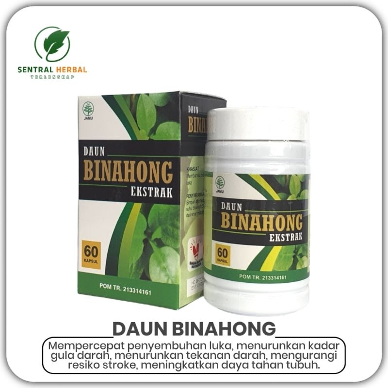 Jual Daun Binahong Ekstrak Herbal 21 Isi 60 Kapsul Shopee Indonesia