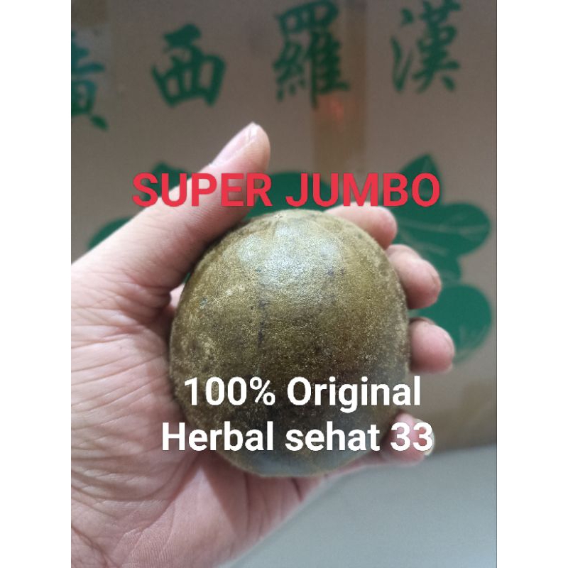 Jual buah lohanko besar jumbo premium lo Han Kuo/ Lo Han guo | Shopee ...