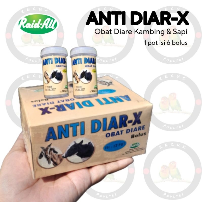 Jual Obat Diare Sapi Kambing Anti Diar-x Raid All isi 6 bolus | Shopee ...