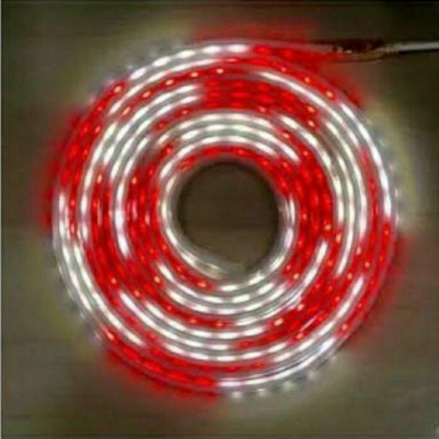 Jual Lampu Strip Merah Putih LED Selang 10M Paket Lengkap AC 220V ...