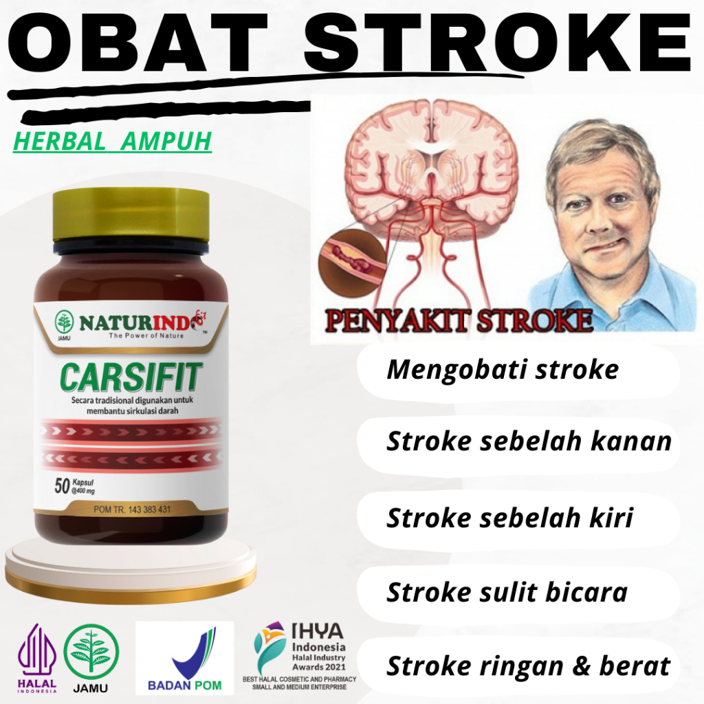 Jual Obat stroke struk obat strok ringan berat paling ampuh sulit ...