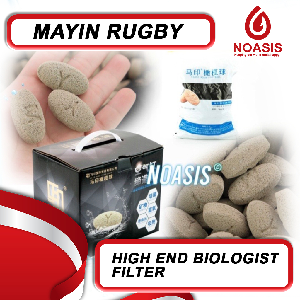 Jual MAYIN INTERNATIONAL RUGBY MEDIA FILTER BIOLOGIS RUMAH BAKTERI 200 ...