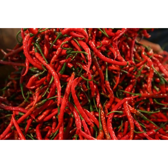 Jual Cabe cabai Merah Keriting Fresh Segar 1 Kg | Shopee Indonesia