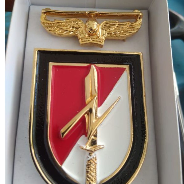 Jual emblem baret raider baru/emblem raider ful logam | Shopee Indonesia